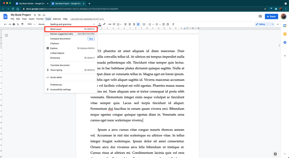 How to Write a Book in Google Docs: Guide With Template