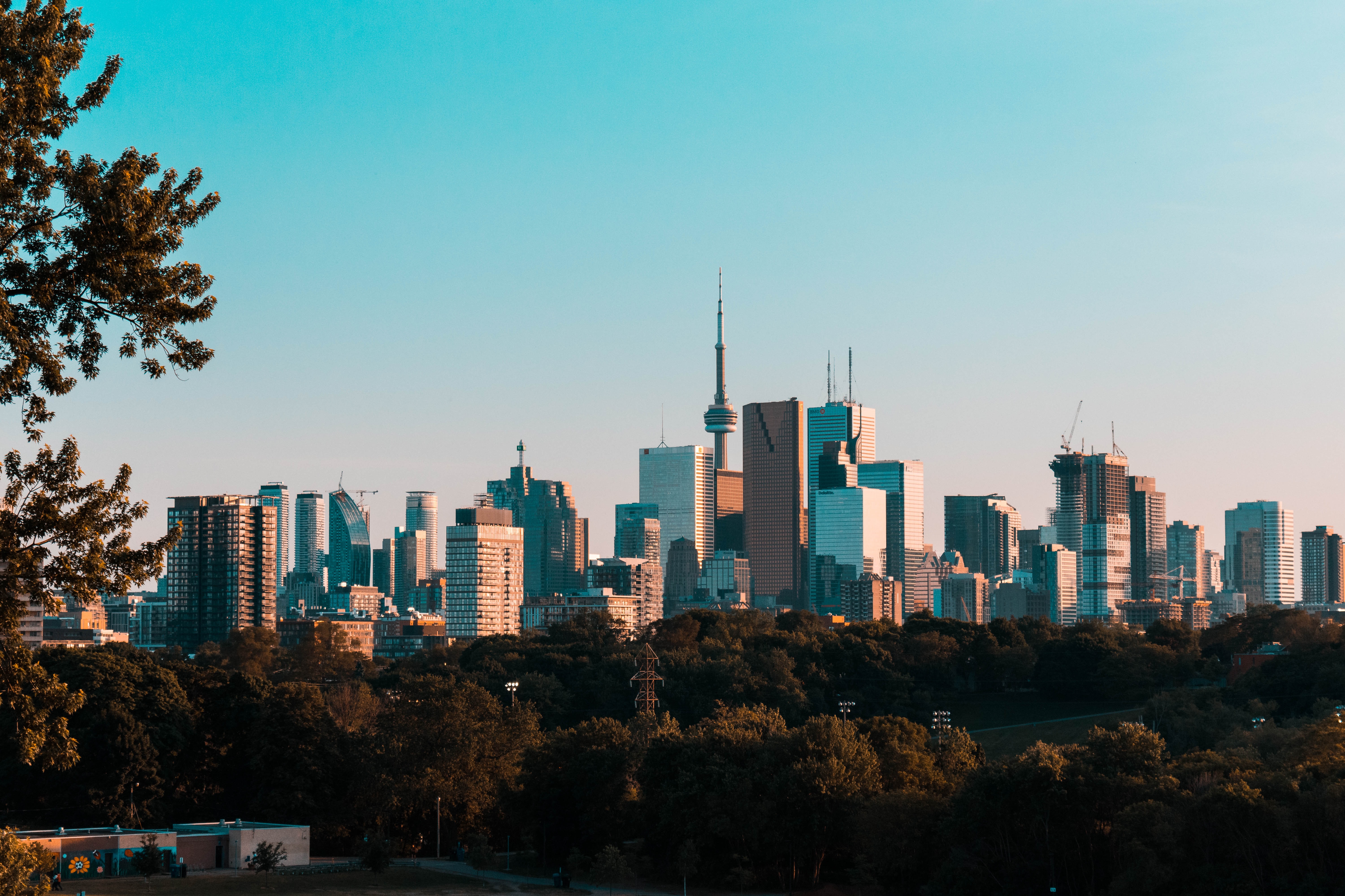 Your Writing Coach in Toronto | Trivium Writing